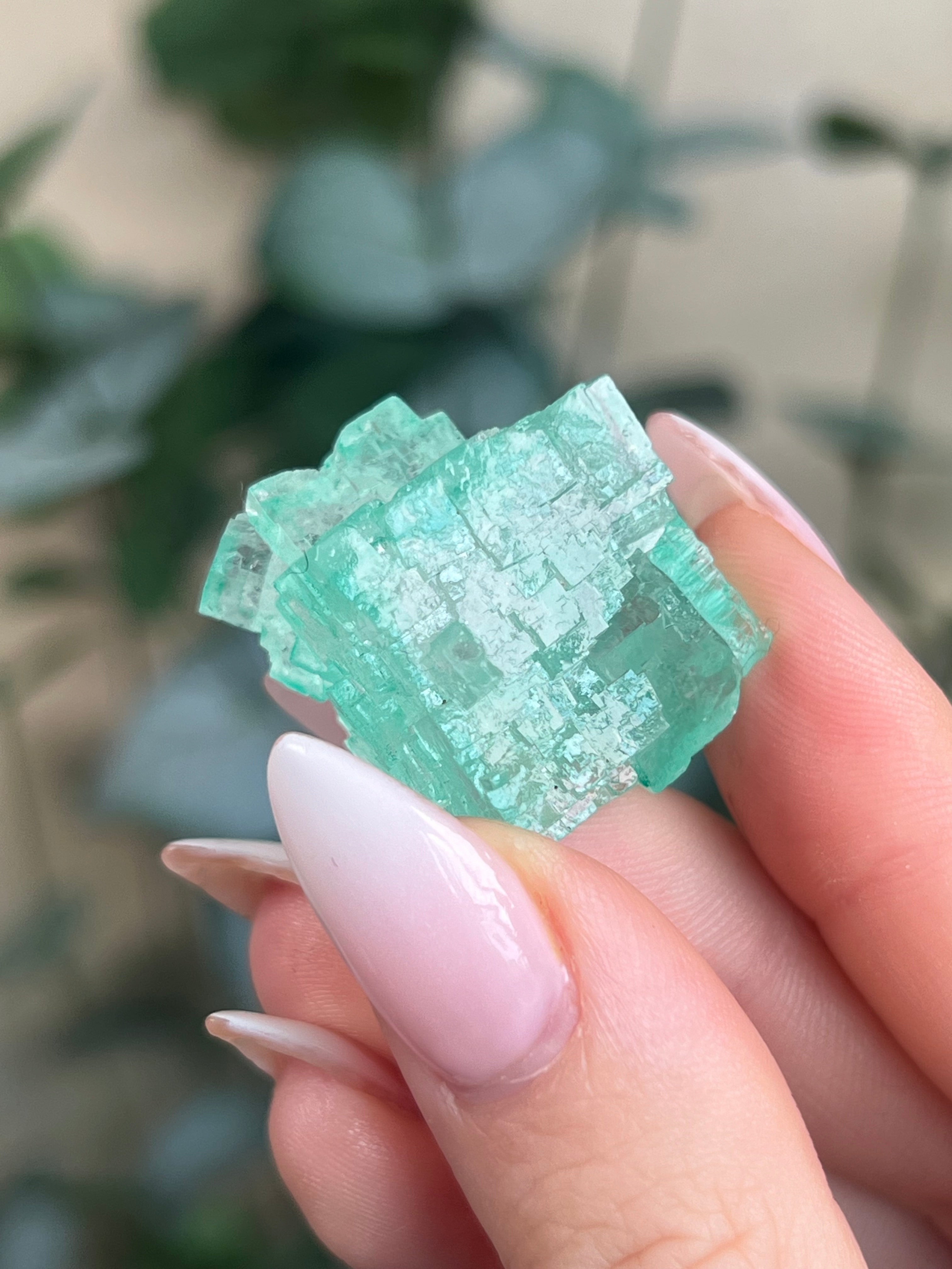 Green Halite with Display Block (60KP) – Calm and Collective Minerals