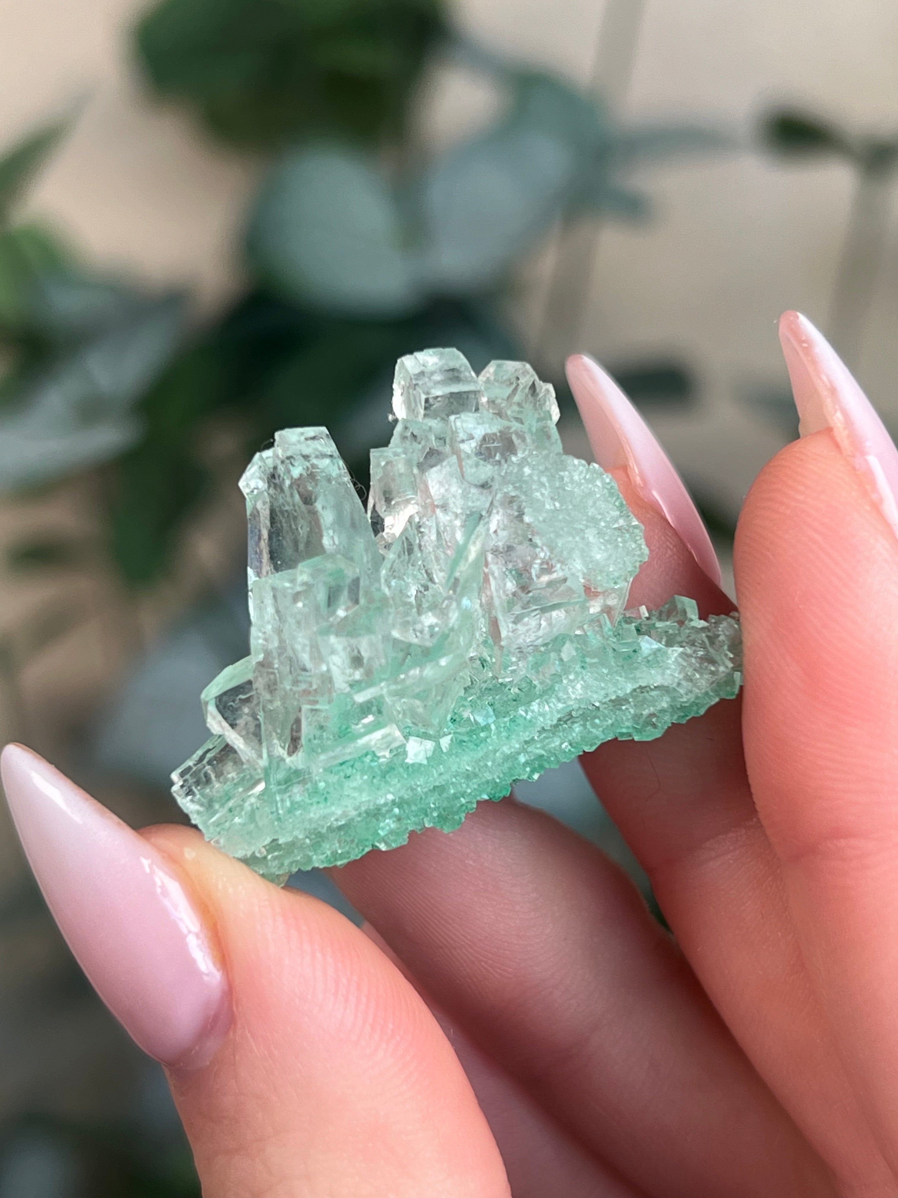 Green Halite with Display Block (70KI) – Calm and Collective Minerals