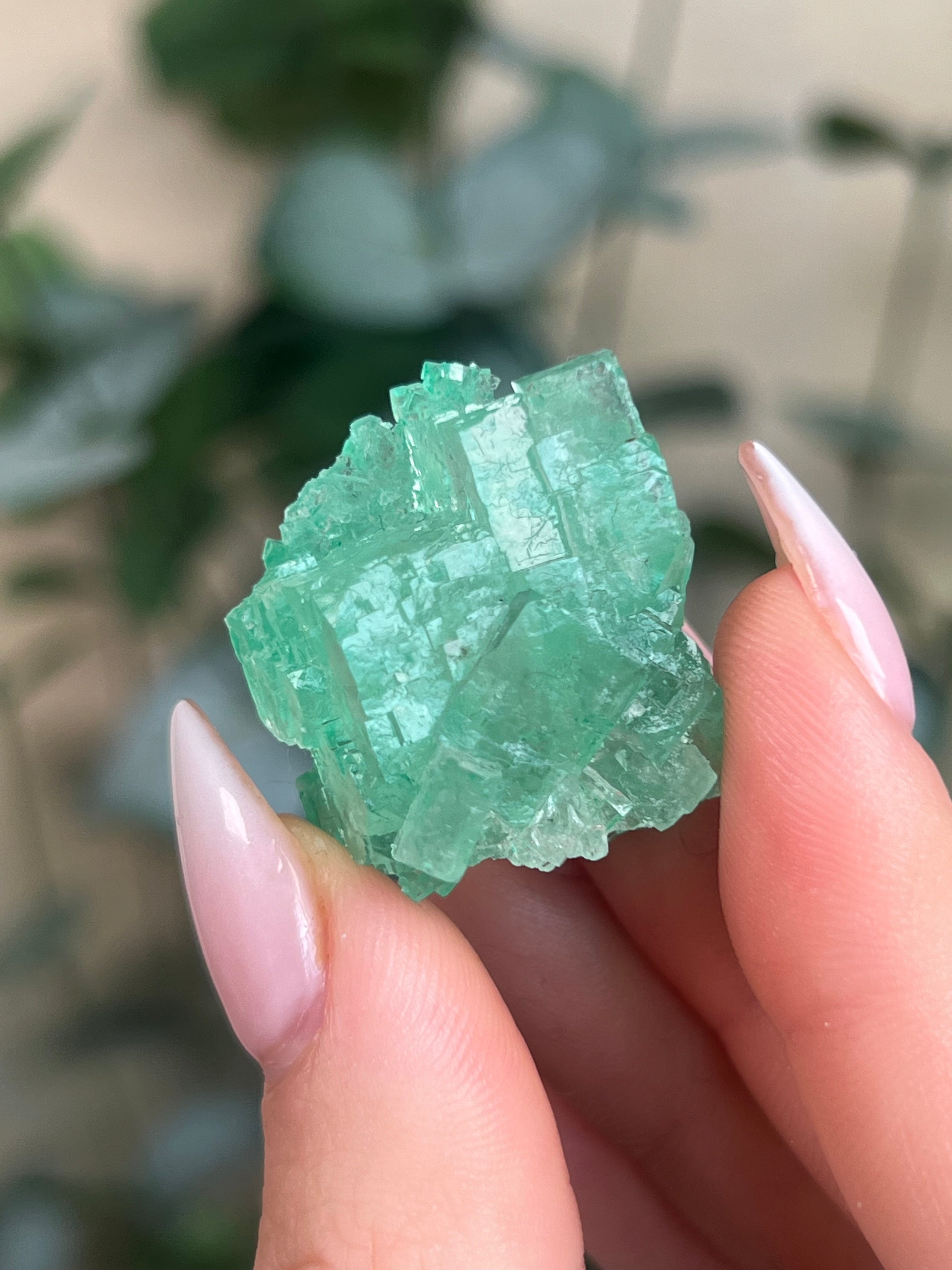 Green Halite with Display Block (70KH) – Calm and Collective Minerals