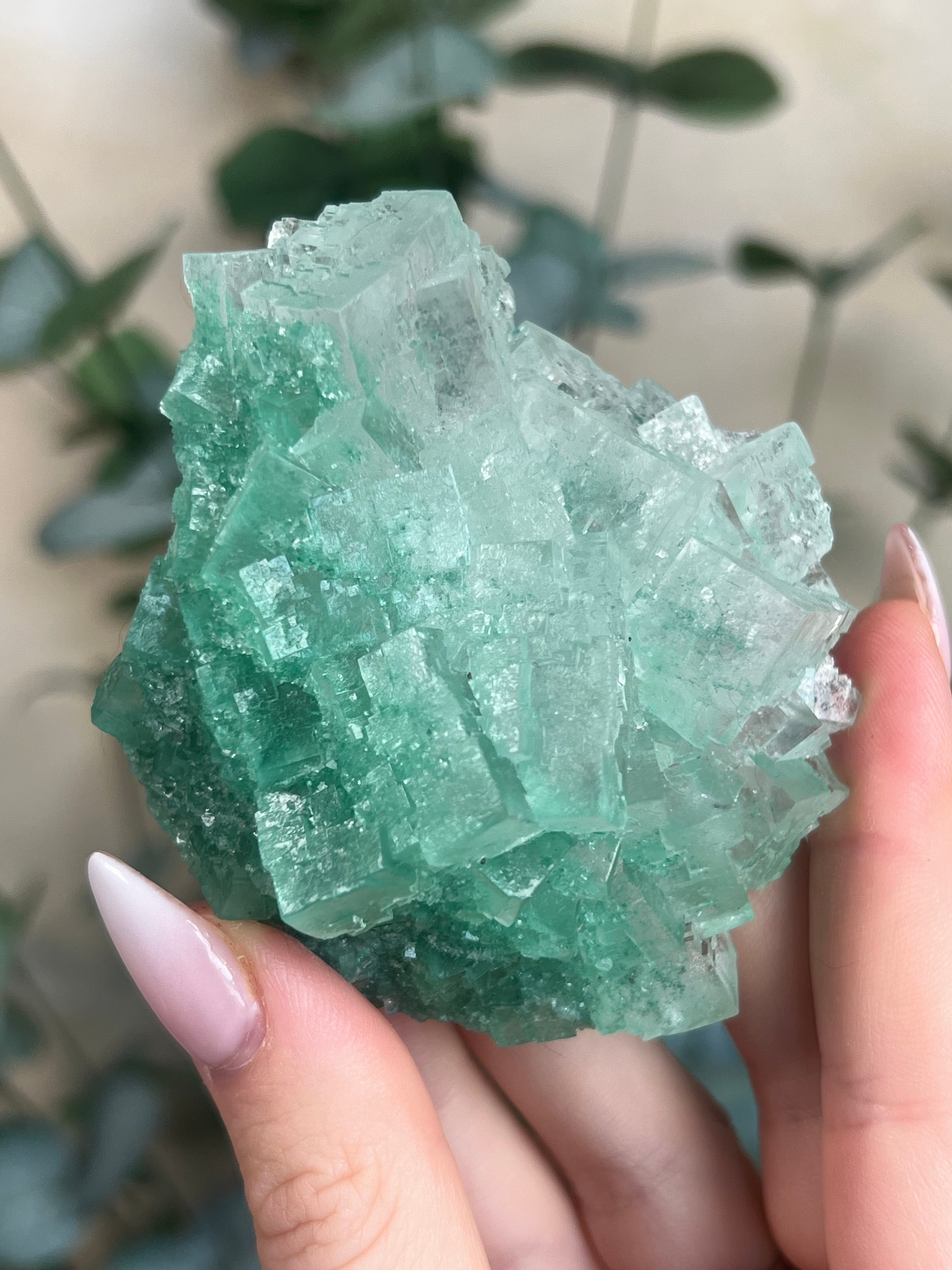 Green Halite with Display Stand (137KB) – Calm and Collective Minerals