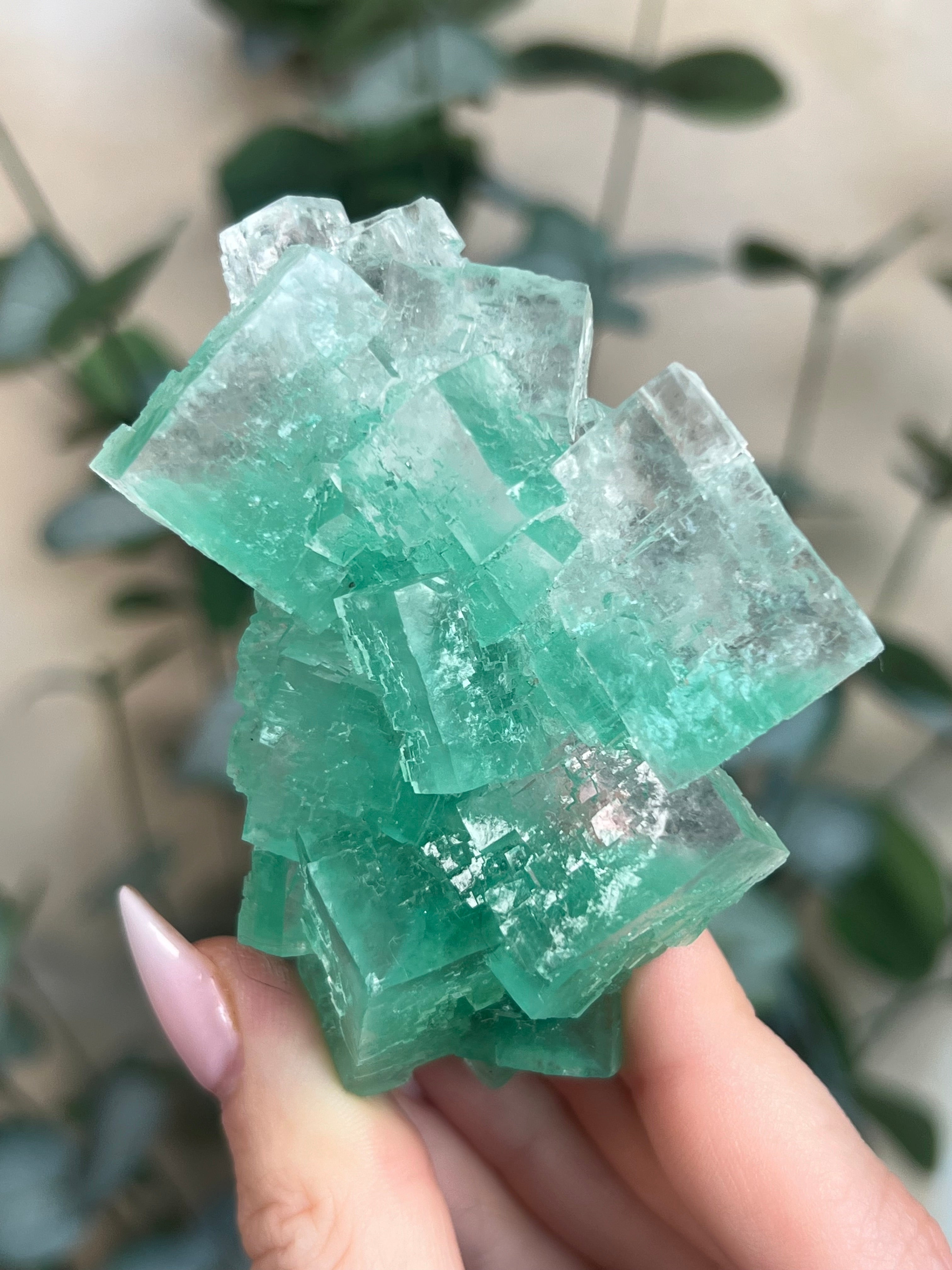 Green Halite with Display Stand (364KA) – Calm and Collective Minerals