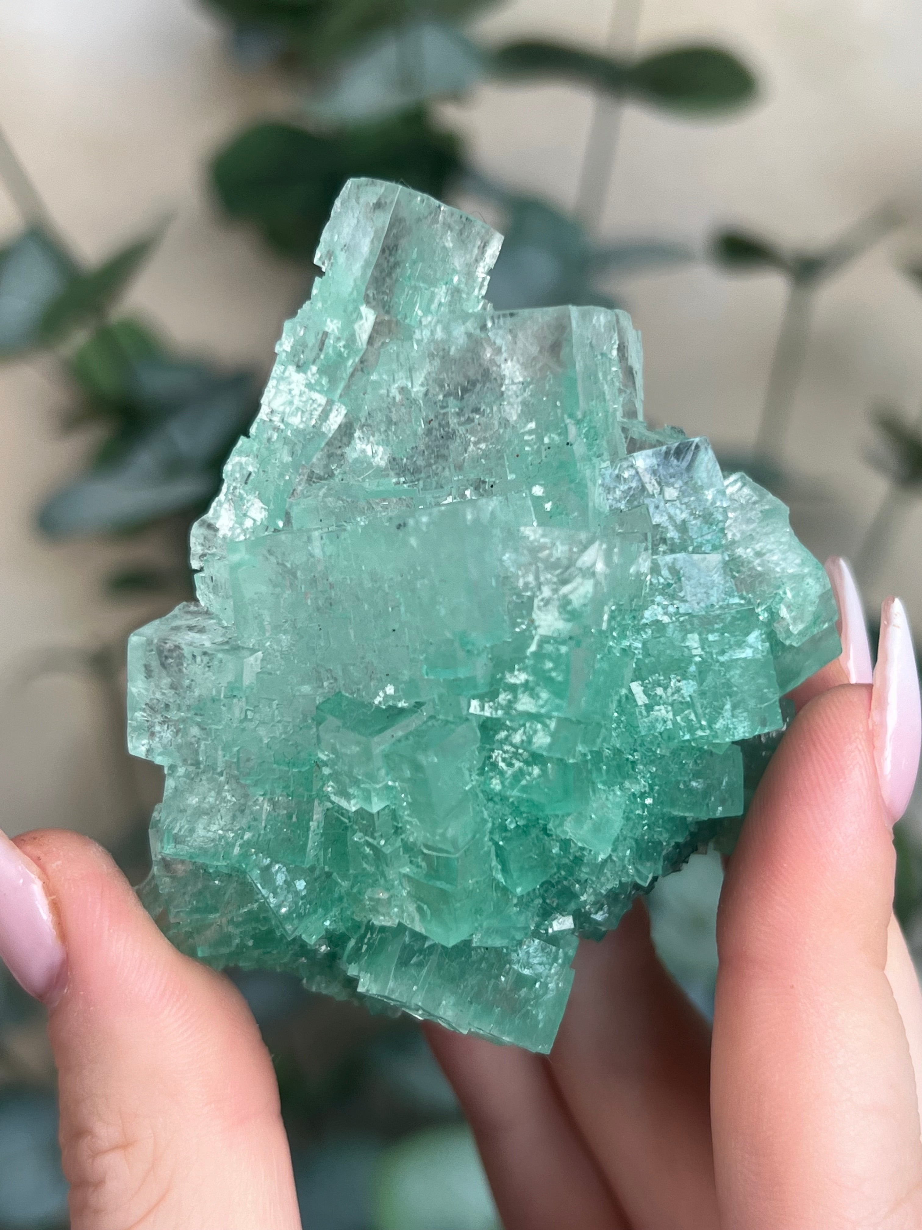 Green Halite with Display Stand (131KA) – Calm and Collective Minerals