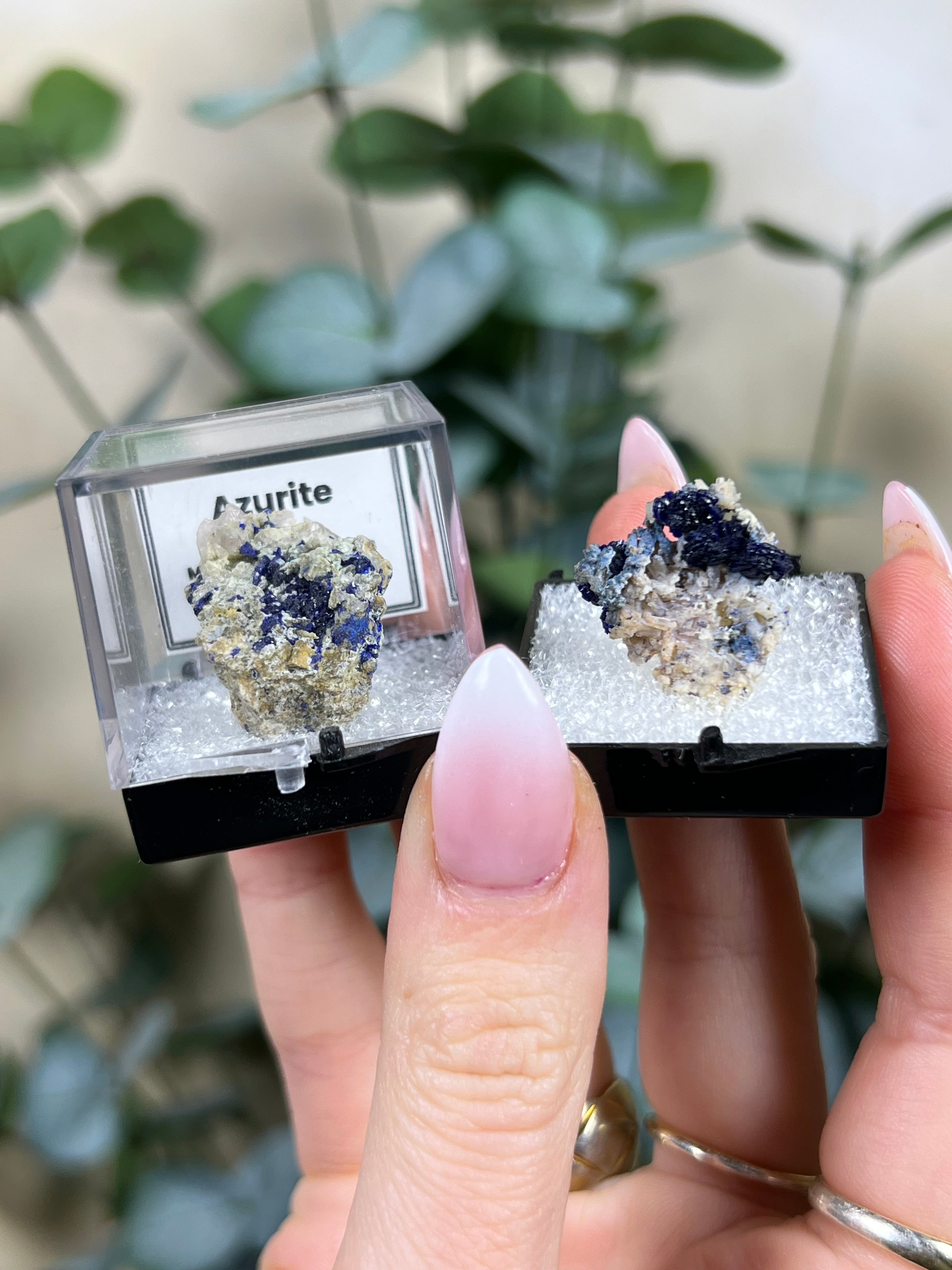 Azurite Perky Box - Arizona – Calm and Collective Minerals