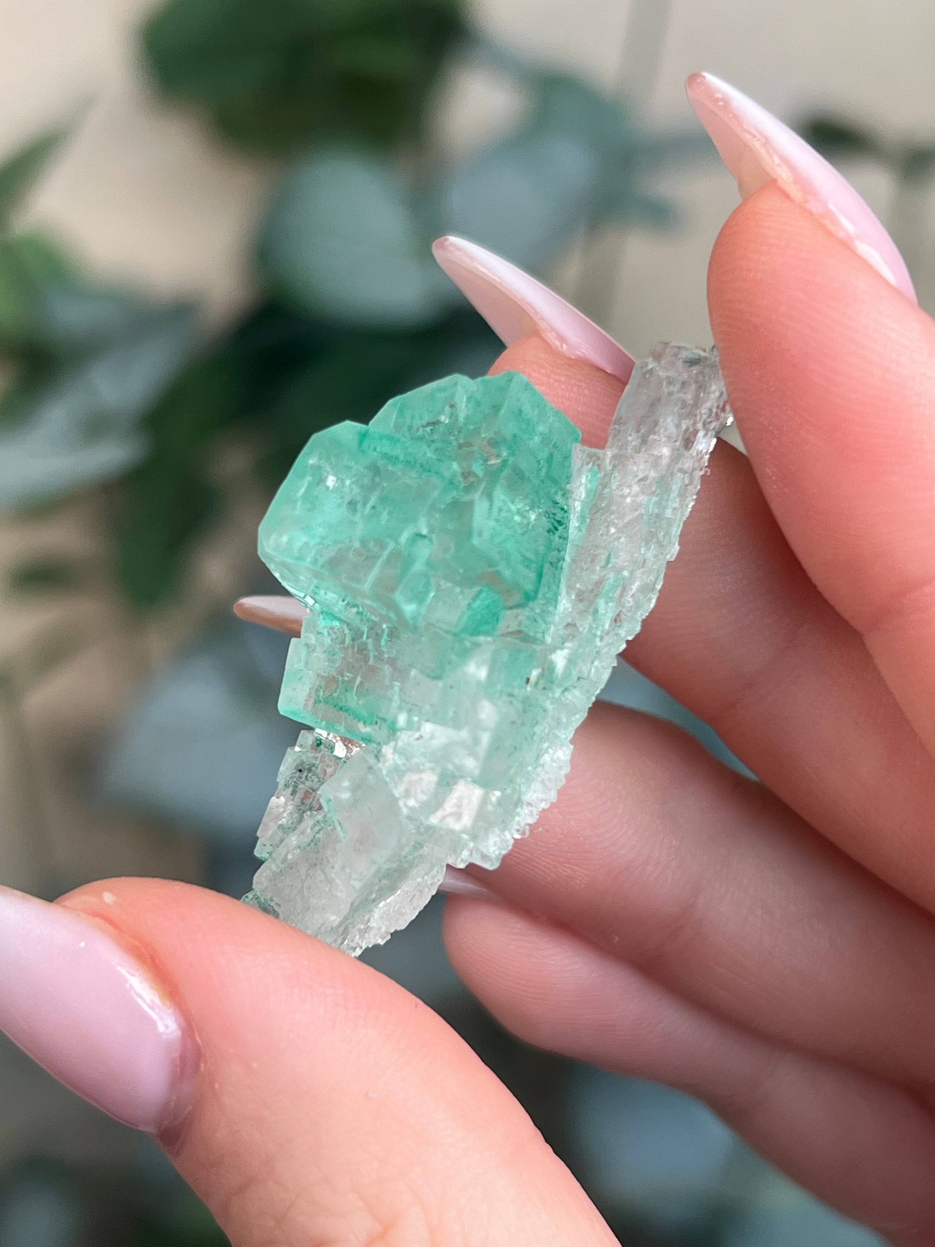 Green Halite with Display Block (70KF) – Calm and Collective Minerals