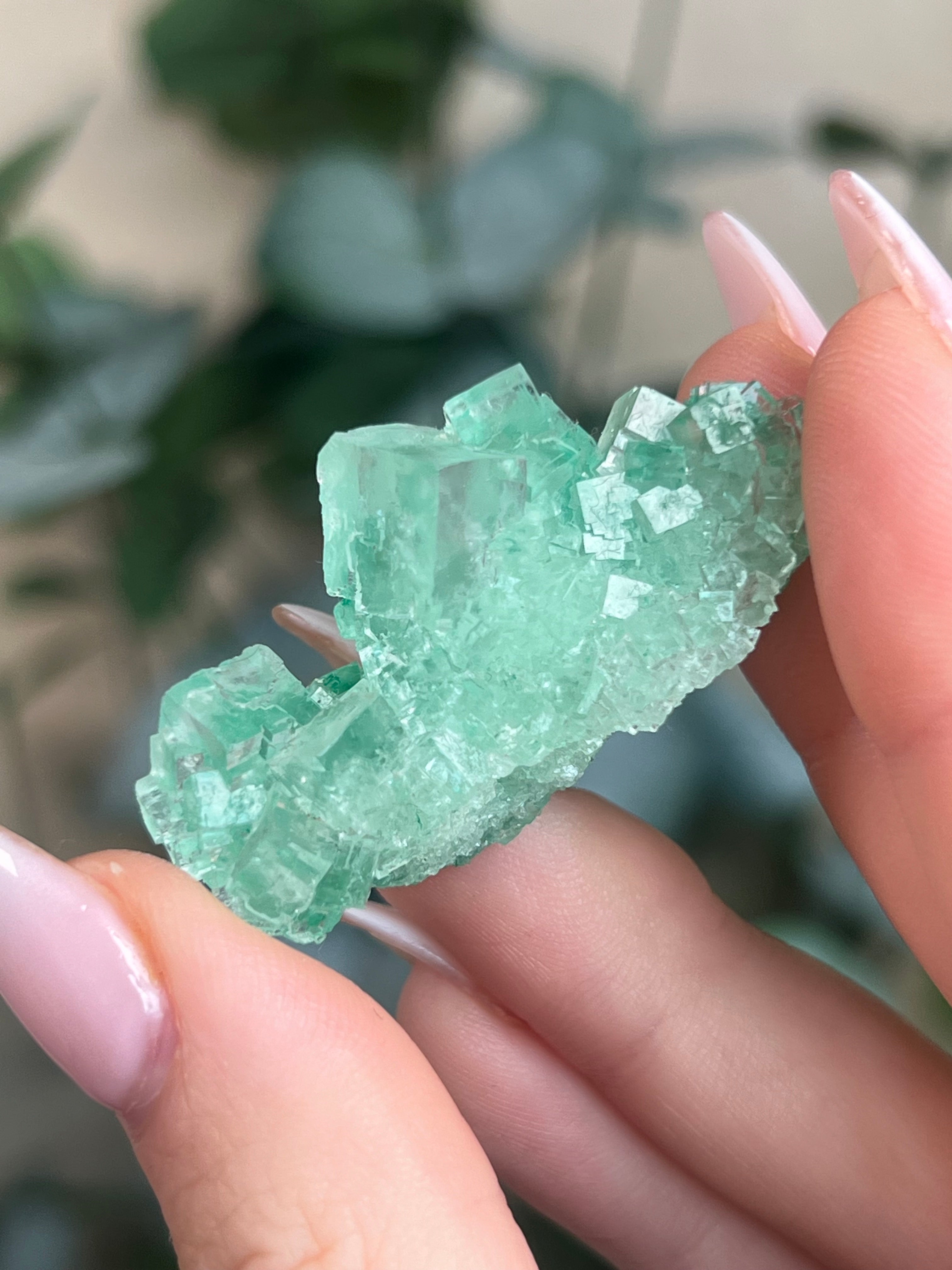 Green Halite with Display Block (54KS) – Calm and Collective Minerals