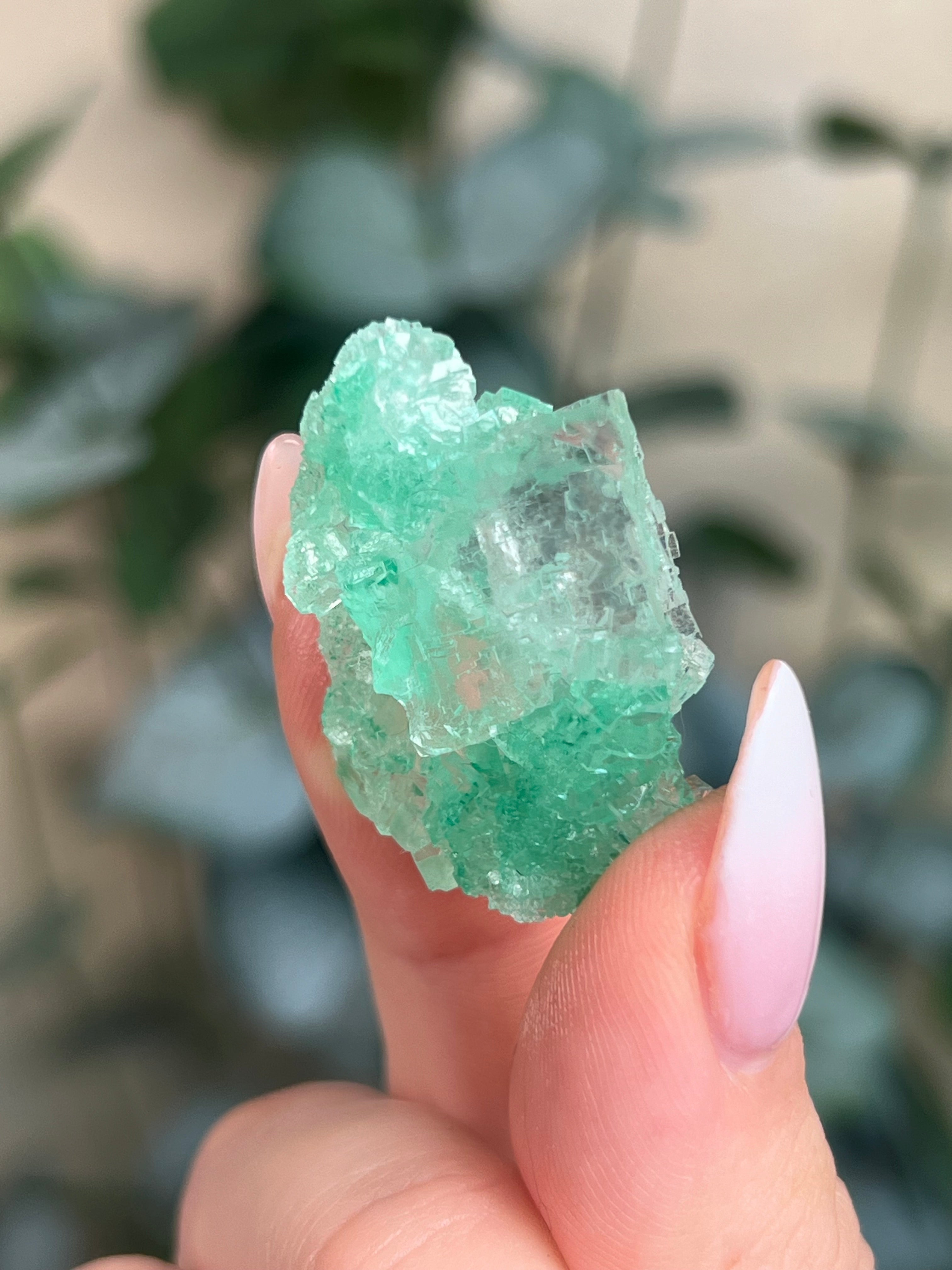 Green Halite with Display Block (34LJ) – Calm and Collective Minerals
