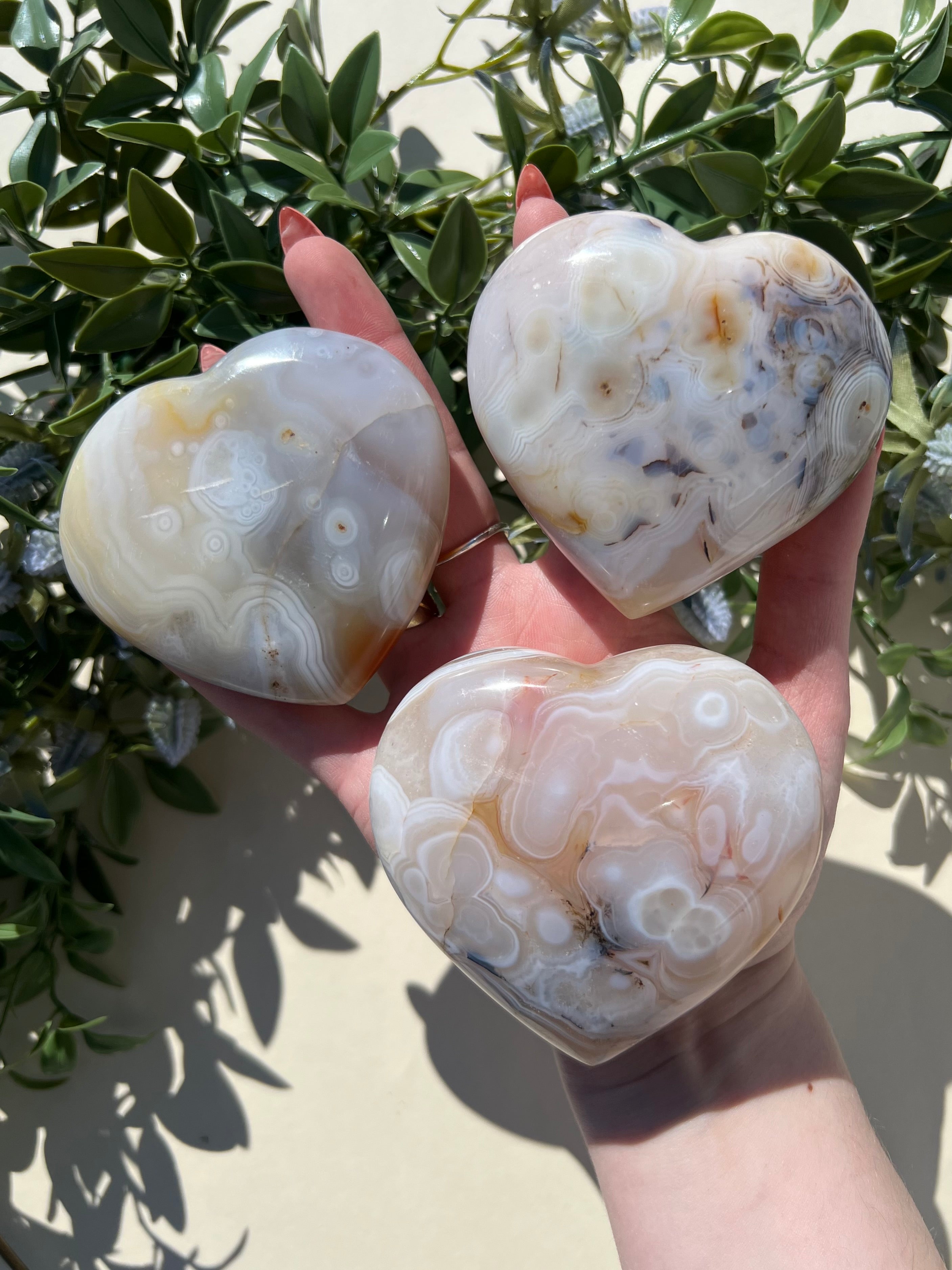 Shop All – Calm and Collective Minerals